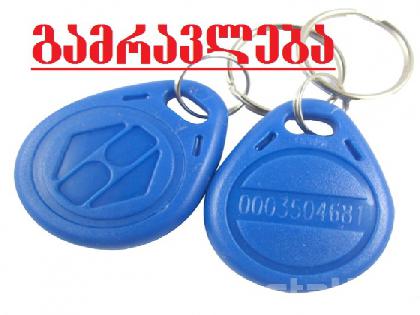 დამაფონის ჩიპი, გამრავლება